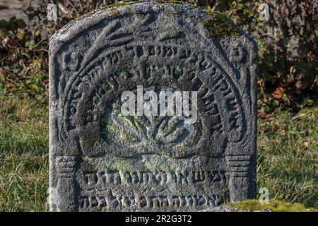 Jewish symbols on a gravestone, historical Jewish cemetery, this burial ...