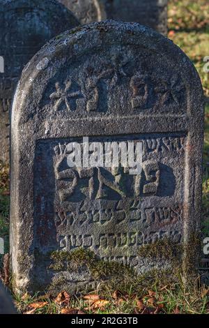 Jewish gravestone with symbols, historical Jewish cemetery, this burial ...