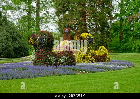 Duck and peacock, flower sculpture, Mainau Island, Constance, Lake ...