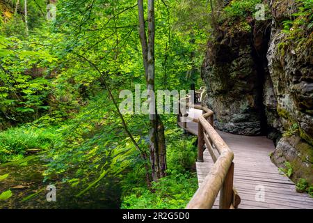 Kamnitz, Fluss, Steg, Wanderweg, Mezni Louka, Nationalpark, Böhmische ...