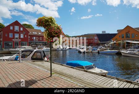 At the fish market in Kristiansand, Vest-Agder, Skagerak, Norway ...