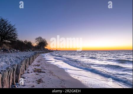 Groynes in the morning light, Kellenhusen seaside resort, Baltic Sea ...