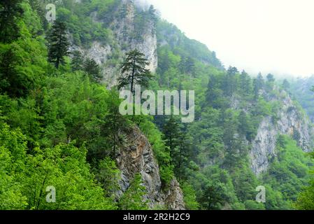 Rugova Gorge, Northern Albanian Alps near Peja, West Kosovo Stock Photo ...