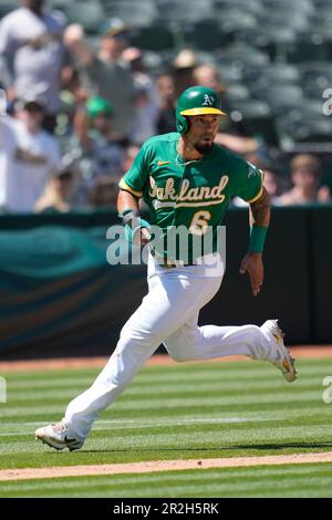 Oakland Athletics' Jace Peterson during a baseball game against the ...