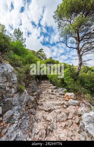 Chemin de Nietzsche hiking trail to the mountain village of Èze Village ...