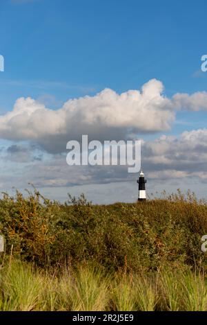 The lighthouse of Breskens in the Zeeland province of the Netherlands ...