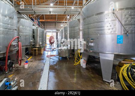 Fermentation tanks, El Principal winery, Pirque, Maipo Valley ...