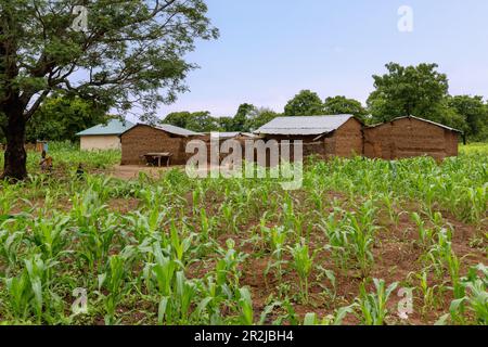 Aberewanko, traditional Lobi family kraal in mud building architecture ...