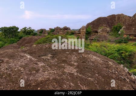 Sacred Grove of Tanoboase in the historic Brong Ahafo Region in the ...