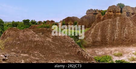 Sacred Grove of Tanoboase in the historic Brong Ahafo Region in the ...