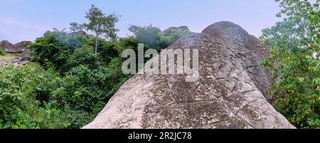 Sacred Grove of Tanoboase in the historic Brong Ahafo Region in the ...