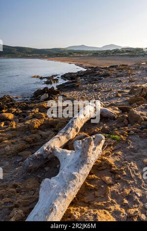 Coast at Spiaggia di Porto Ferro, Logudoro, Sardinia, Italy Stock Photo ...