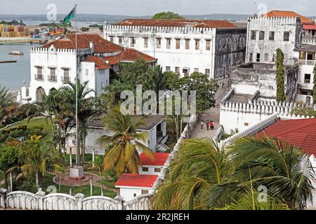 View over Beit-el-Sahel and the old customs house, Stonetown, Zanzibar ...