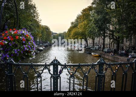 Beautiful scene in autumn in the Amsterdam forest (amsterdamse bos) in ...