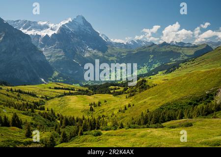 Eiger from Alp Grindel, Grindelwald, Bernese Oberland, Switzerland ...