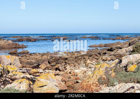 Davies Pool, Onrus, a popular natural tidal swimming pool enclosed by ...
