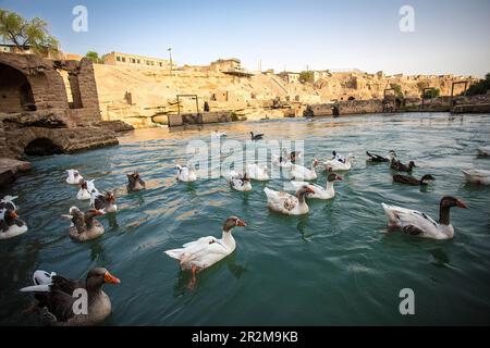Ancient water management system Stock Photo - Alamy