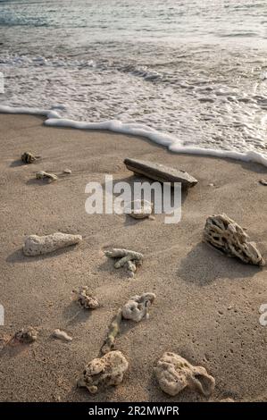 Coral stones on the sea beach at Saint Martin's Island, locally known ...