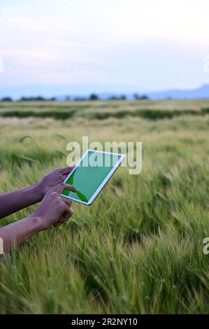 agriculture technology concept man Agronomist Using a Tablet in an ...