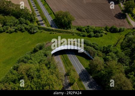 Aerial of road traversed by wildlife crossing forming a safe natural ...