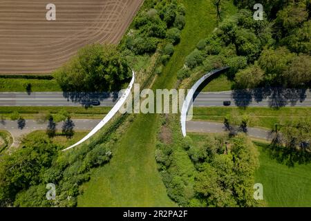 The Netherlands, Wierden. Wildlife bridge, Wildlife crossing. Ecoduct ...