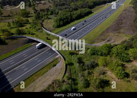 Road traversed by wildlife crossing forming a safe natural corridor ...