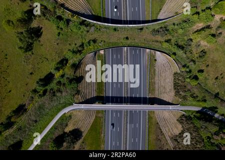 Aerial of road traversed by wildlife crossing forming a safe natural ...