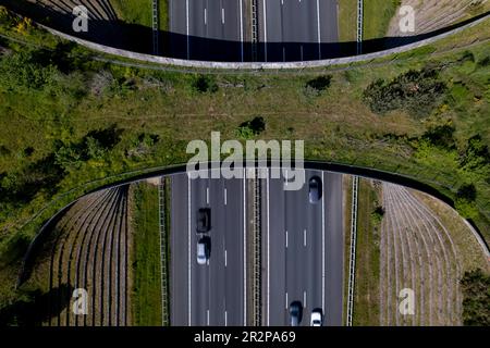 Road traversed by wildlife crossing forming a safe natural corridor ...