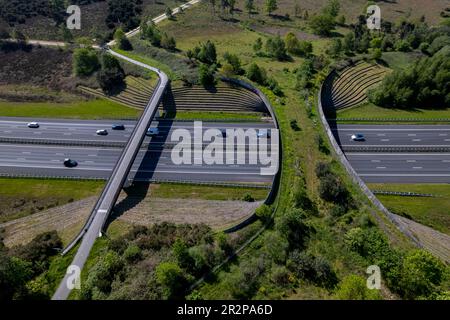 Aerial of road traversed by wildlife crossing forming a safe natural ...
