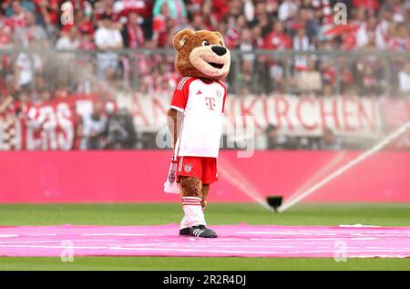 Mascot Berni, FC Bayern Munich FCB, Allianz Arena, Munich, Bavaria ...