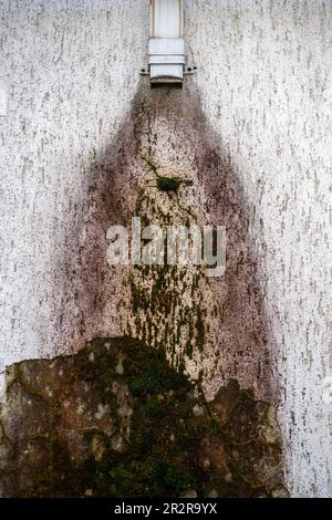 Mold on walls of building outside, humid tropical climate, damage wall ...