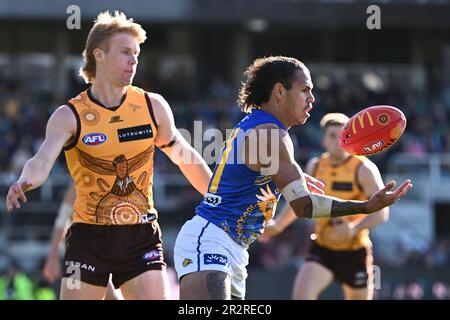Jamaine Jones of West Coast during the AFL Round 8 match between the ...