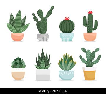Vector illustration with potted cactus. Succulents. Trendy background ...