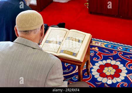 Istanbul Turkey. Muslim believer praying and reading Koran in the Fatih ...