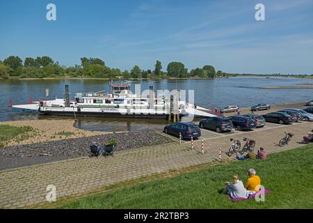 River Elbe, people, cars going onto Zollenspieker-Hoopte ferry, Hoopte ...