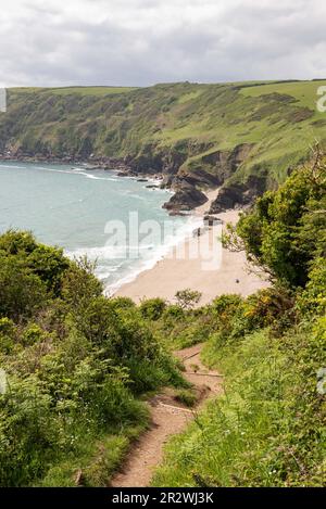 Secluded beach Lantic Bay Cornwall with turquoise blue sea on a ...