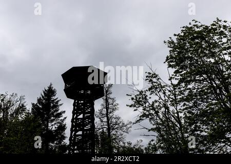 the heidekopf tower near hallenberg germany panorama Stock Photo - Alamy