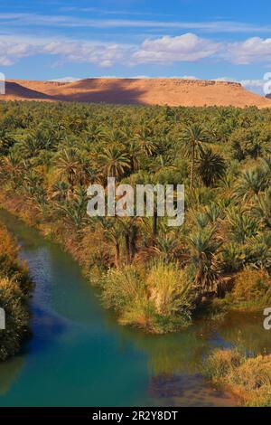 Tafilalet Oasis, Tafilalt Oasis, Ziz River, Gorges du Ziz, Ziz Valley ...