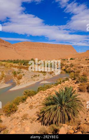 Gorges du Ziz, Ziz Valley, Ziz Gorges, Tafilalet region, Morocco, North ...