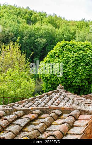 old roof in italy the line and texture of diagonal architecture Stock ...