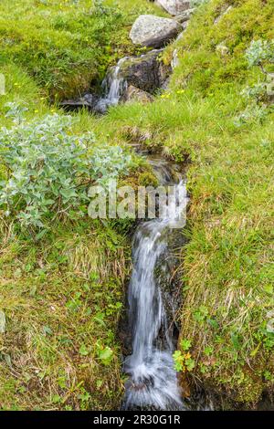 Beautiful view of the water stream falling into the water in the forest ...