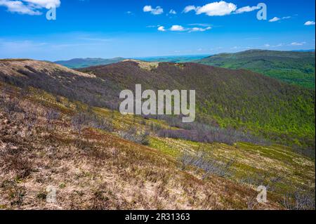 Spring landscape of the Bieszczady Mountains. A view of the Mount ...