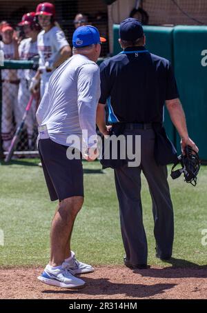 Florida head coach Tim Walton during an NCAA softball Women's College ...