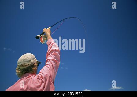 A saltwater fly-fisherman fights a fish in the Bahamas Stock Photo - Alamy