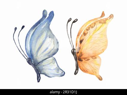Watercolor butterfly illustration set, insect clipart, moth Stock Photo ...
