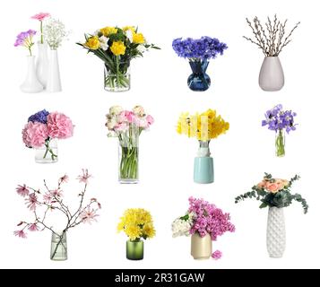 Collage of stylish vases with beautiful hydrangea bouquets on white ...