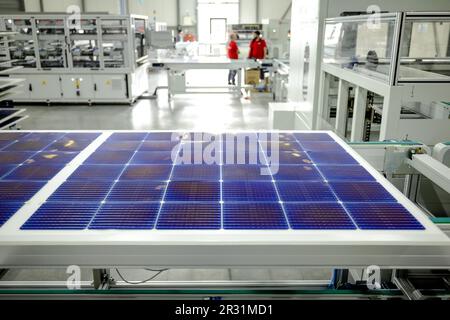 WEERT - Employees during the production of circular lightweight solar ...