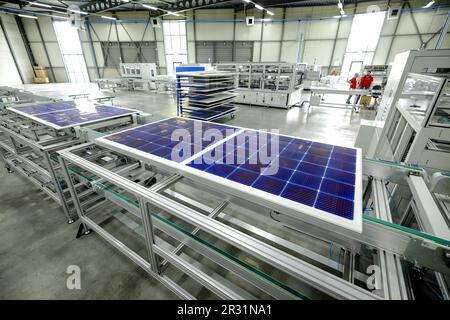 WEERT - Employees during the production of circular lightweight solar ...