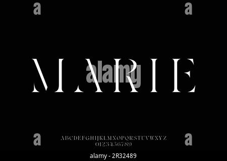 Abstract elegant serif stencil type alphabet display font vector ...