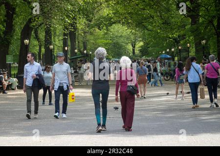 Poets' Walk in Central Park is popular in all seasons, New York City ...
